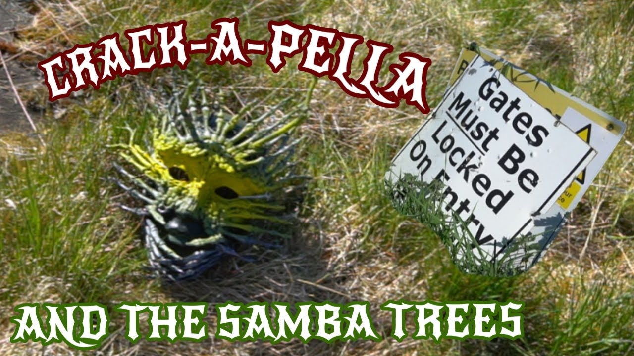 Crack-a-Pella and the Samba Trees: Behind the Scenes of ‘Persistence ...