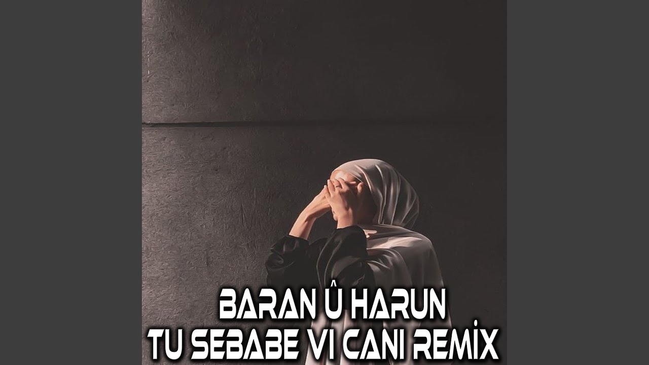 Tu Sebabe Vi Cani (Remix) - YouTube