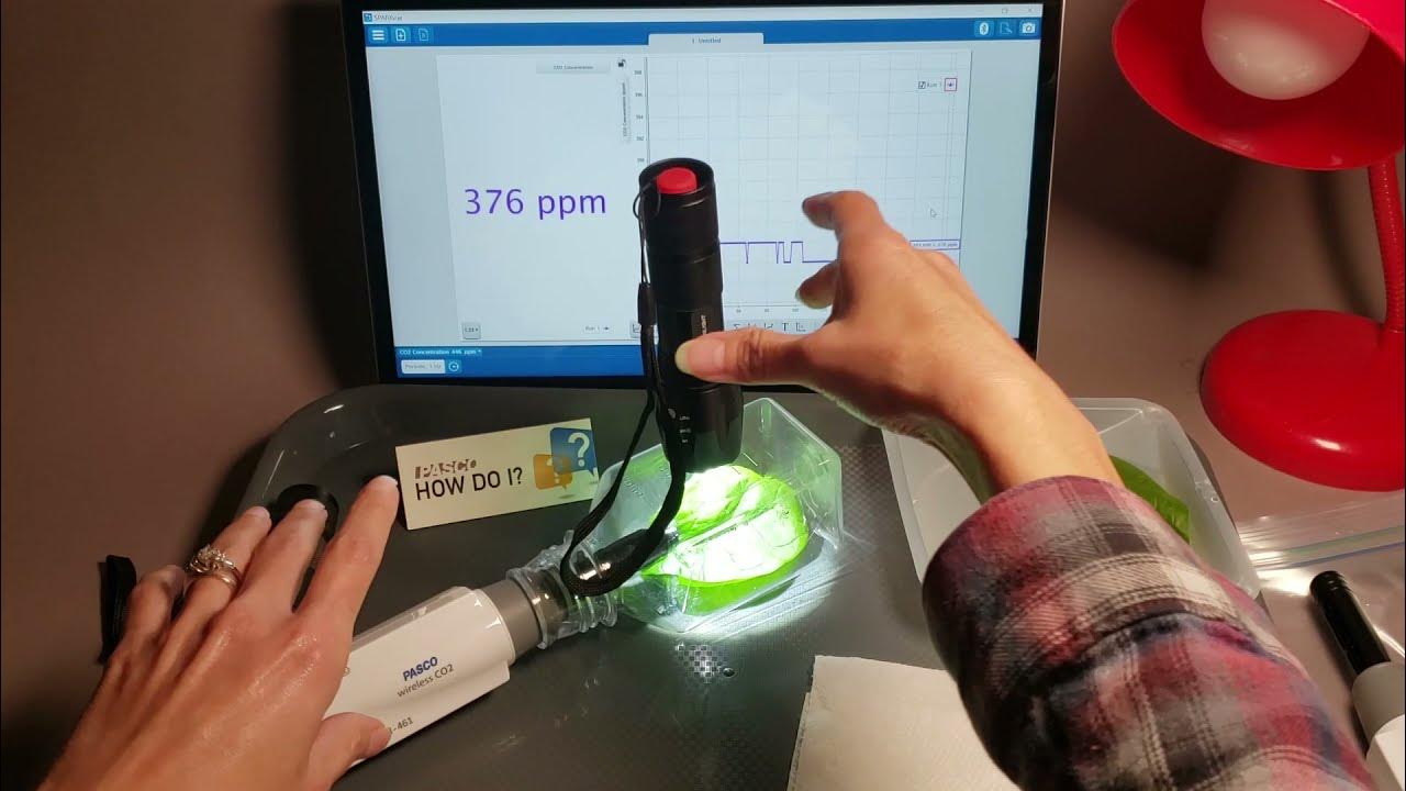 Get Great Photosynthesis Data With The Wireless Co2 Sensor Sparkvue
