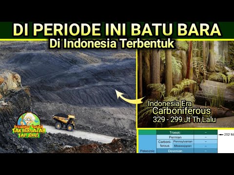 Kamu Harus Tau.. Proses Terbentuknya BATU BARA DI Indonesia - YouTube