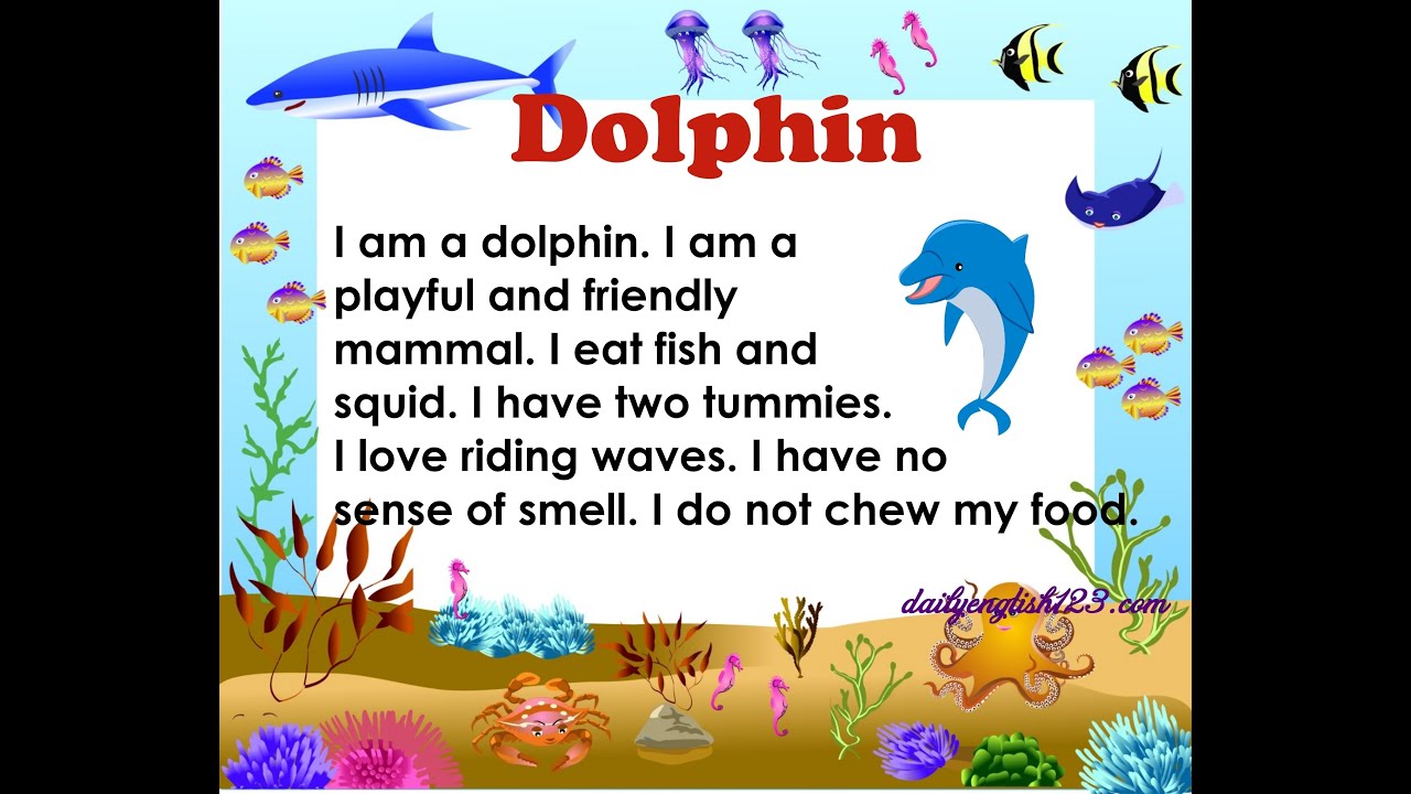 Reading about sea animals- Easy reading for kids. - YouTube