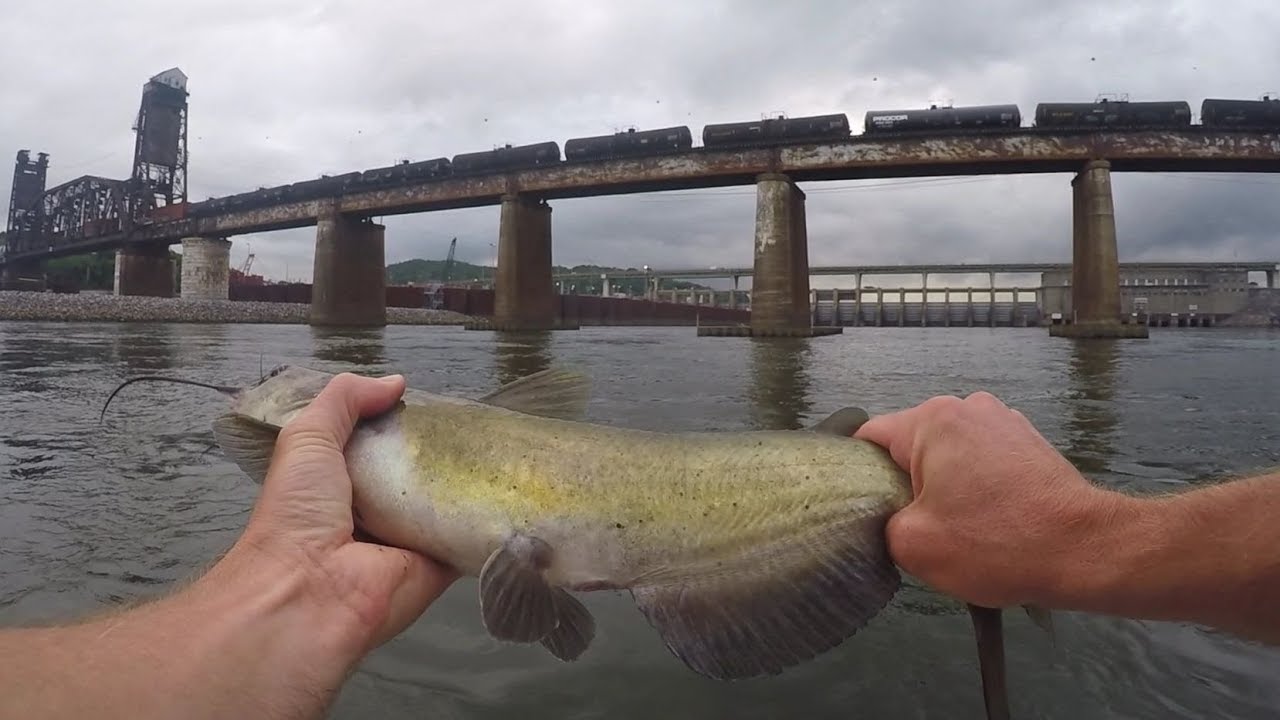 The Channels CAME OUT in FULL FORCE: Catching Channel Catfish on Raw ...