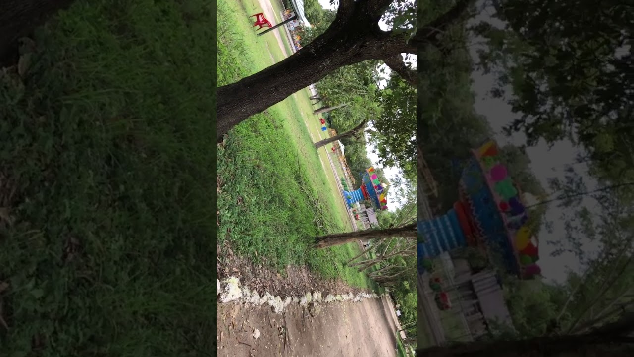 Dar es Salaam Zoo - YouTube