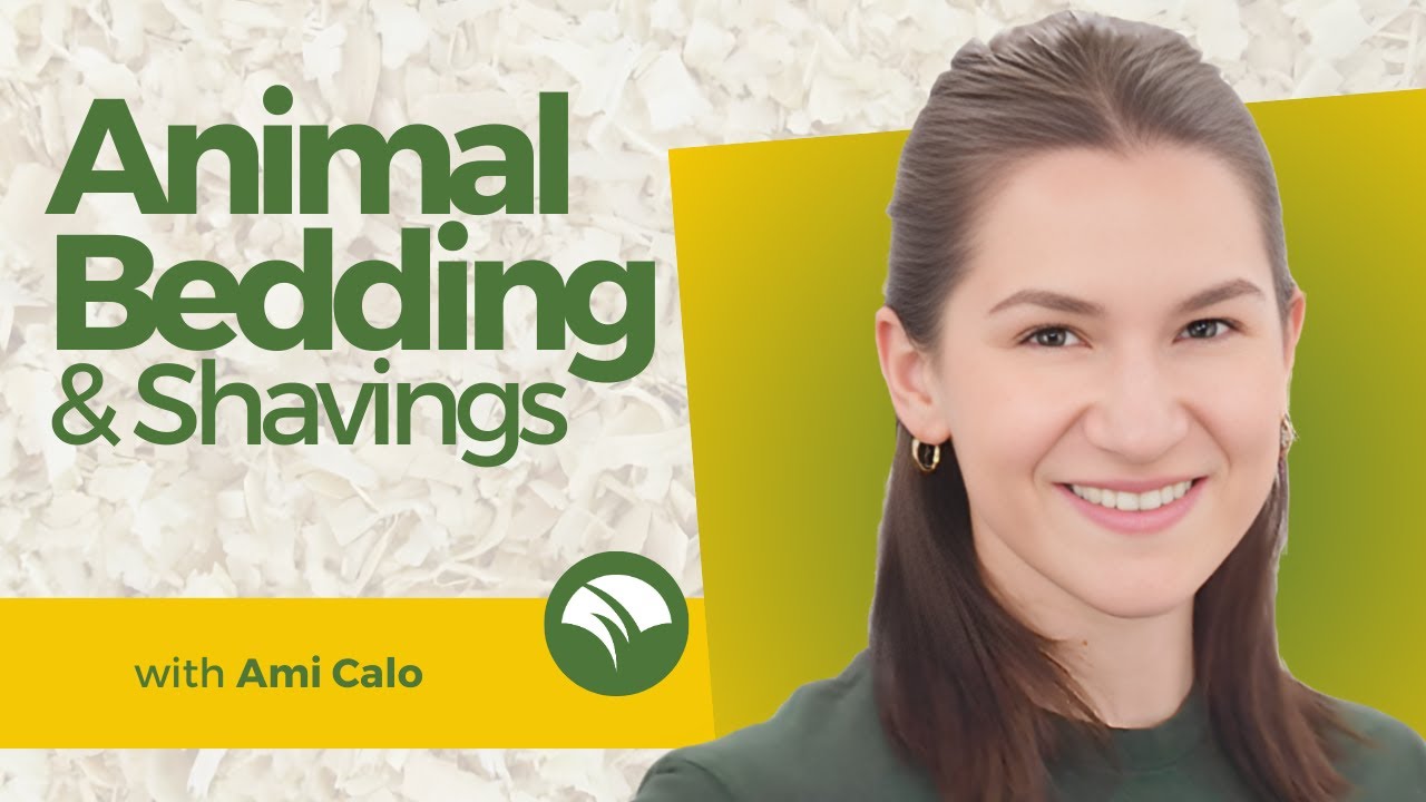 Ami Calo: Animal Bedding & Shavings | Aden Brook Voices - YouTube
