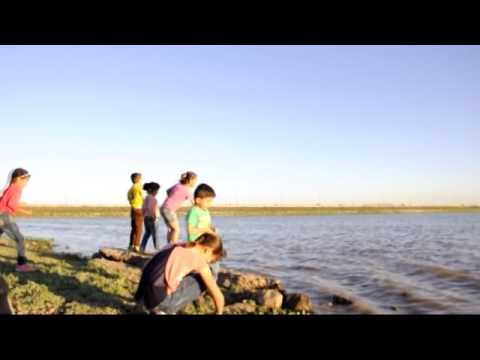 DÊRIKA HEMKO - BENDAVA BORZÊ