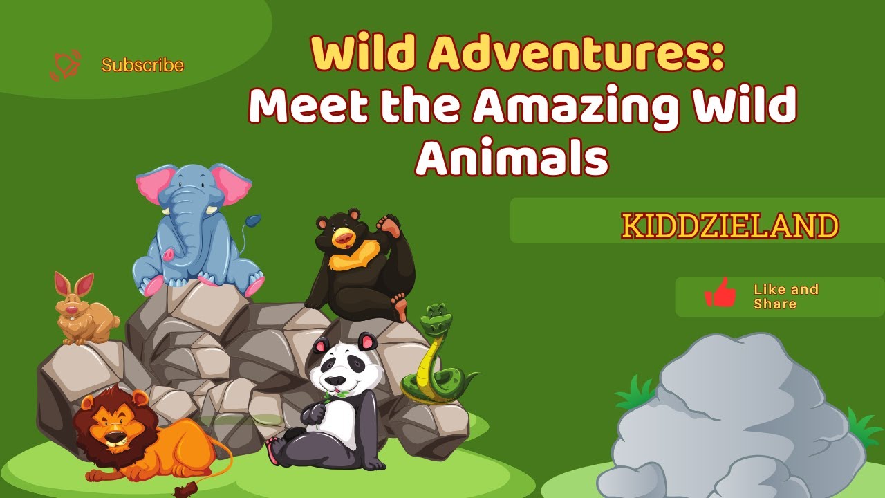 WILD ADVENTURES: MEET THE AMAZING ANIMALS! KIDS VIDEOS - YouTube