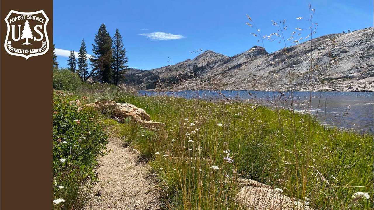 The Wilderness Walk: Poetry Inspired By Connecting With Nature - YouTube