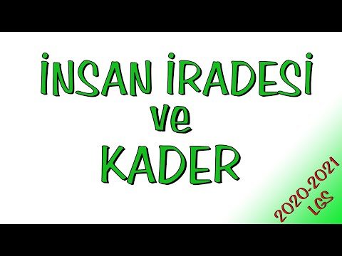 8.Sınıf  Din Kültürü 1.Ünite Konu Anlatımı | İnsan İradesi ve Kader