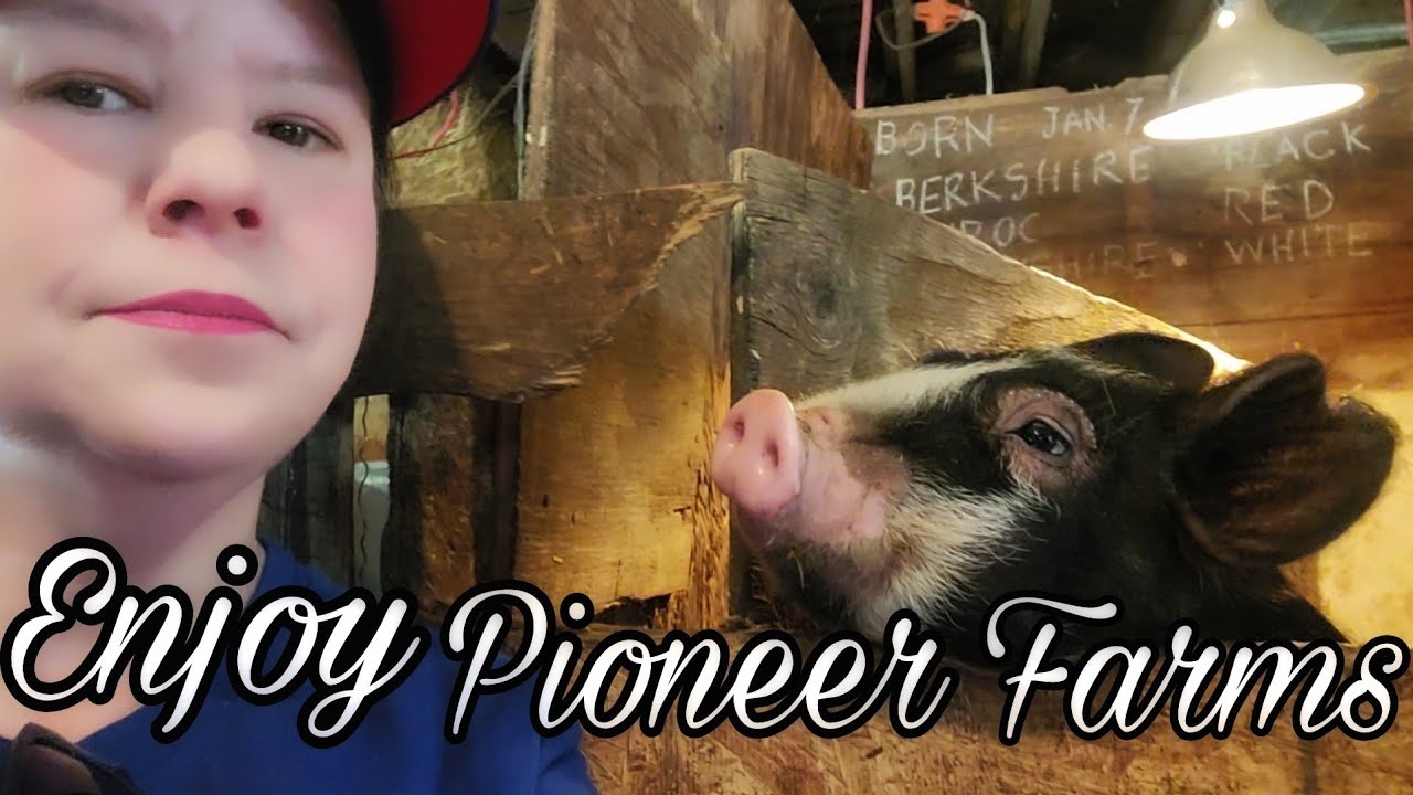 Enjoy Pioneer Farm's Kane county Illinois - YouTube