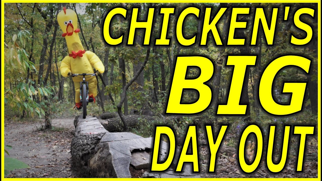 Chicken’s Big Day Out! - YouTube