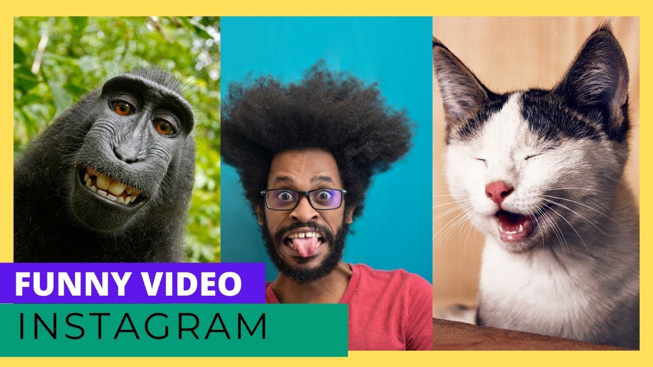 HILARIOUS Instagram Reels (FUNNY REELS COMPILATION) - YouTube