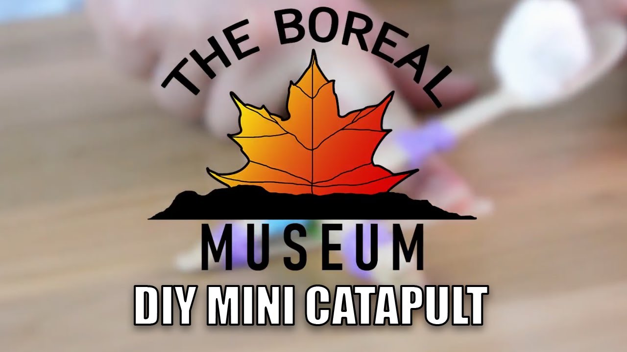 Boreal Museum: DIY Mini Catapult Kit Instructions - YouTube