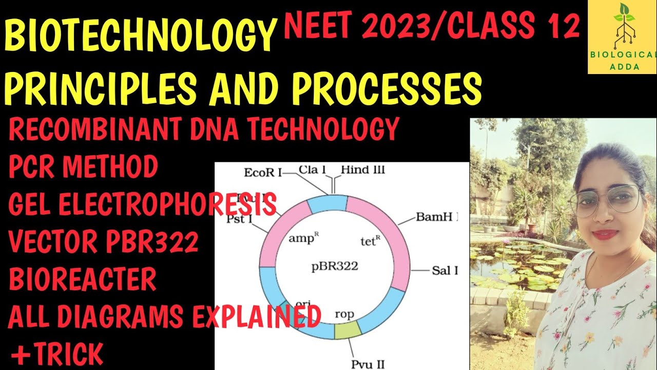 Biotechnology principle and processes | class 12 chapter 11 | one shot ...