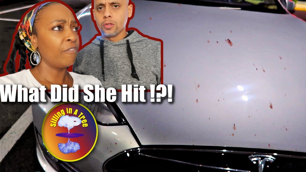 I Ran Over Something: weekend vlog - YouTube