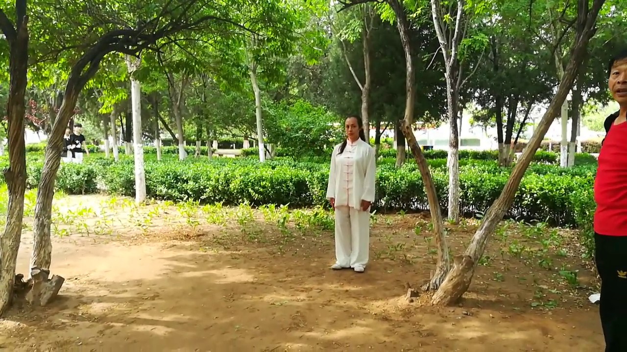 Xing Yi, Maestro Deng Fu Ming y Discípula Pamela Ling Campos Rojas ...