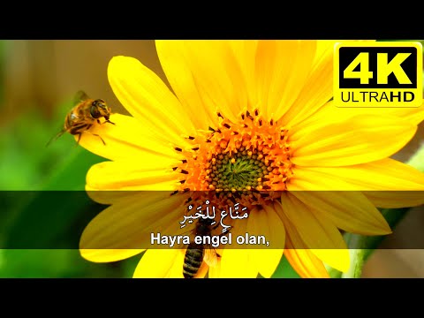 Kaf Suresi丨Youssef Kalo ⁴ᴷ丨Bu sese hayran kalacaksınız!丨Muhteşem Kıraat ³