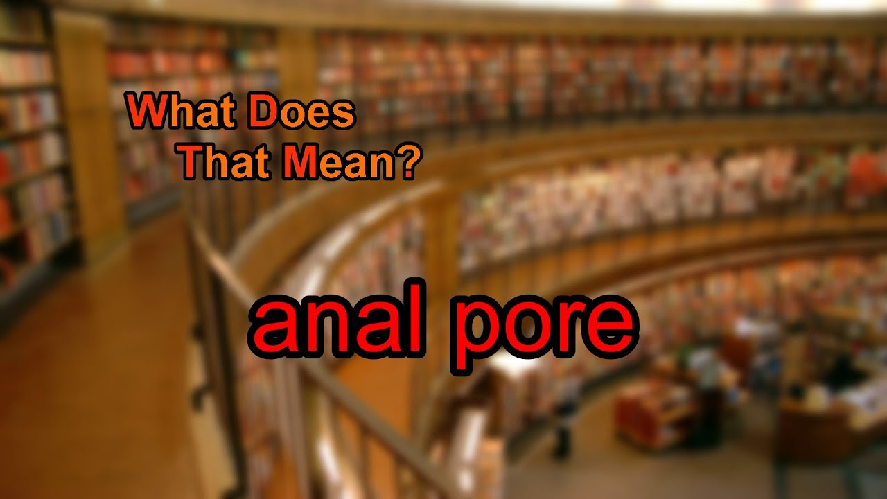 What does anal pore mean? - YouTube