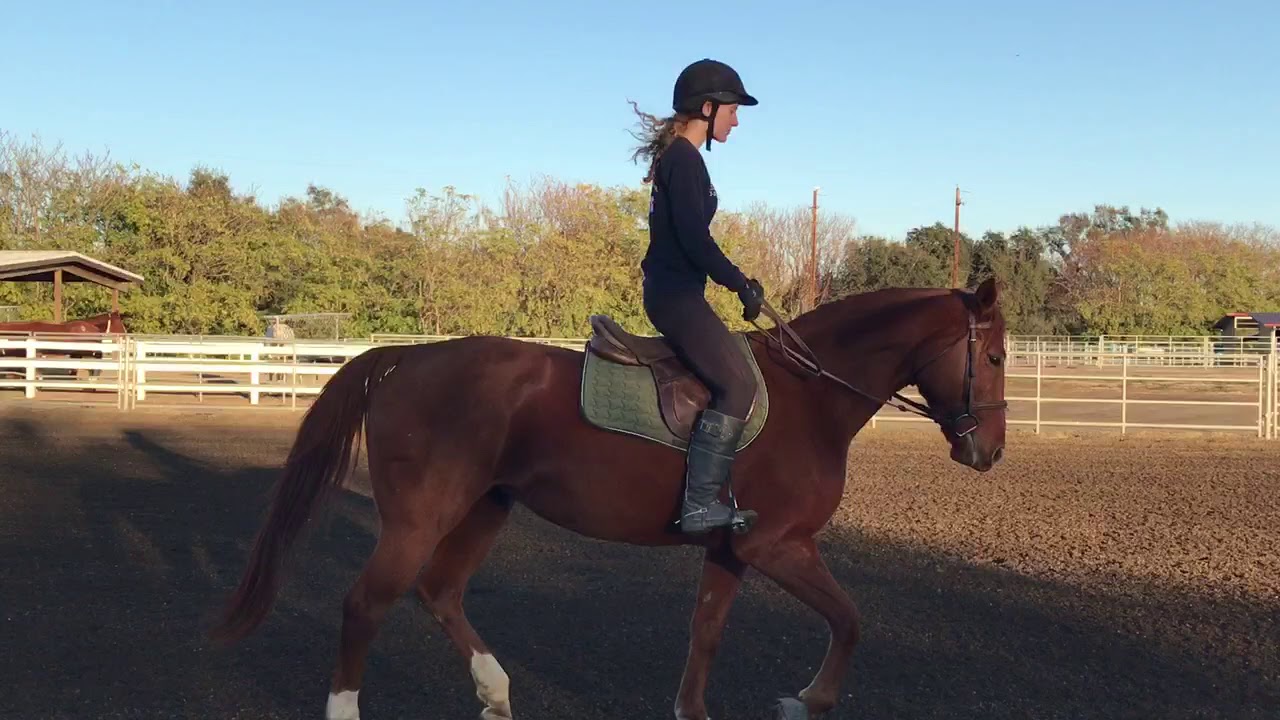 Playtime (“Aloha”) 11/5/17 - YouTube