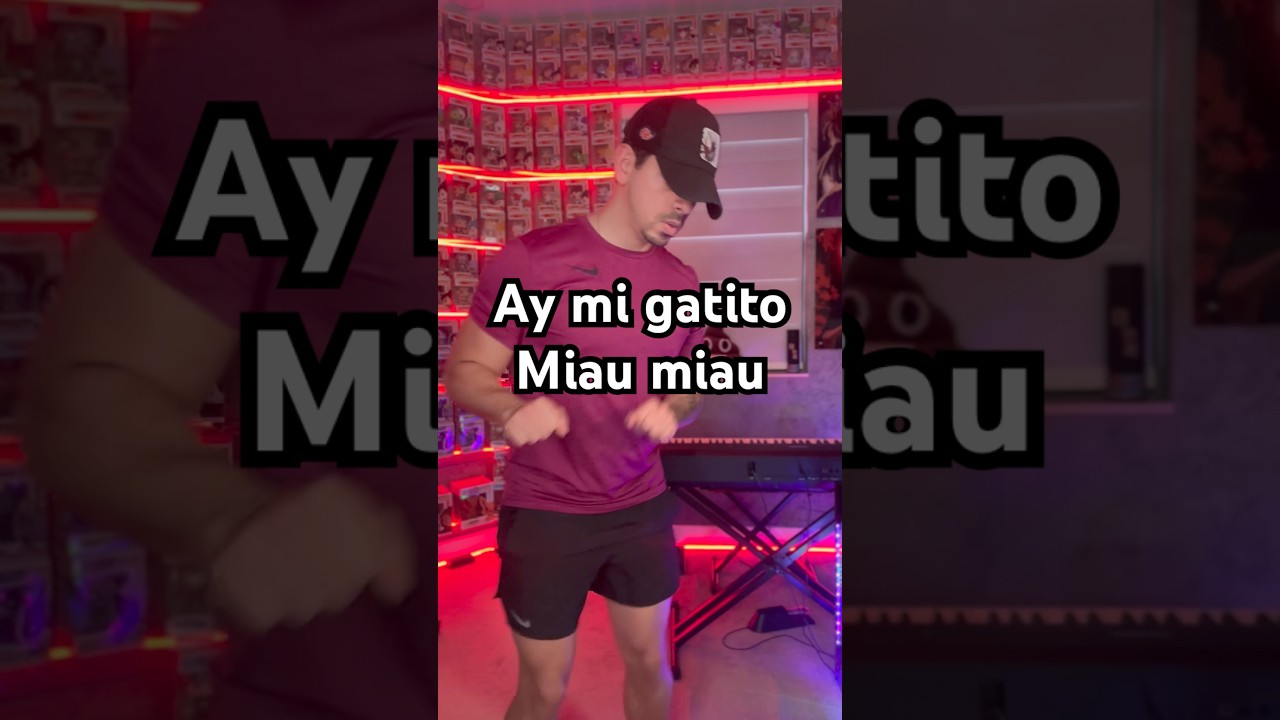 Ay mi gatito Miau Miau 🐱 #Venezuela #Peru #Mundial - YouTube