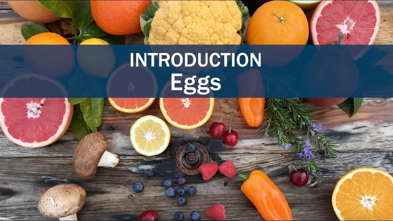 Introduction to Eggs - YouTube