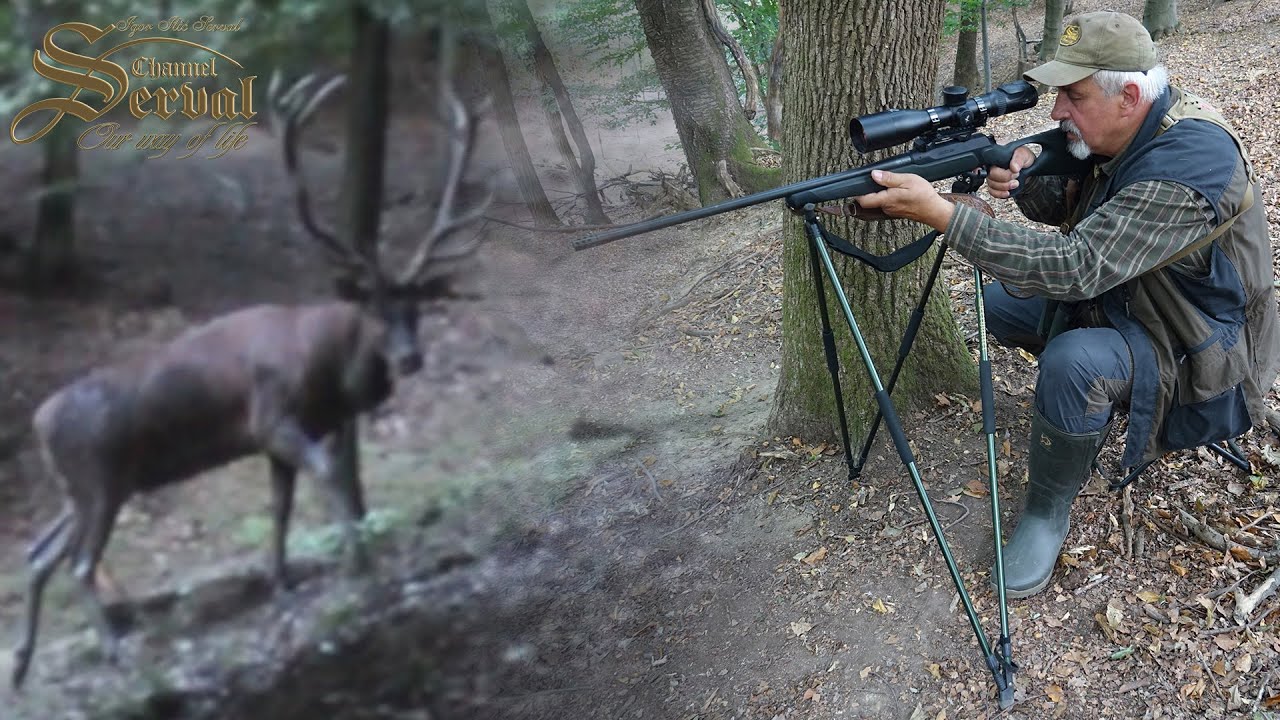 Best hunting story - Red deer stag hunting in Hungary - Rothirschjagd ...