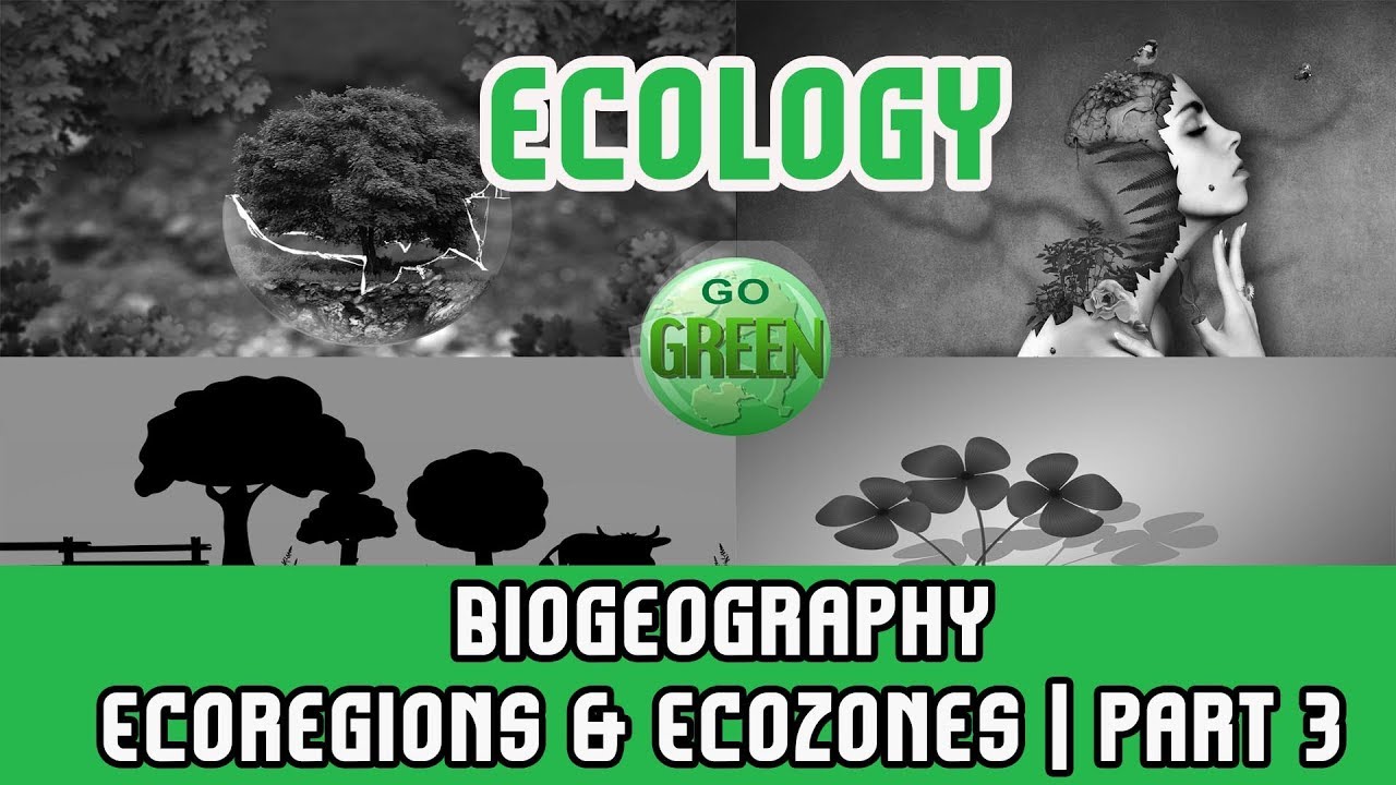 31. Ecology | Biogeography- Ecoregions & Ecozones III - YouTube
