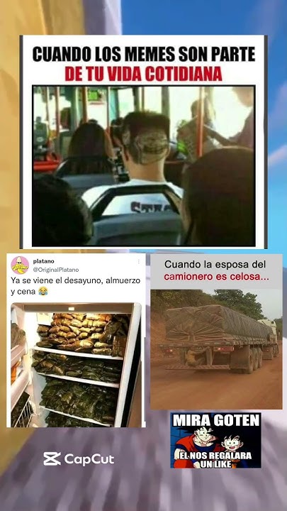 Es De Tu Vida Cotidiana 🧬 #vida #humor #memes - YouTube