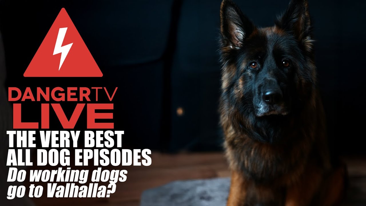 The Very Best Working Dogs Go to Work! DangerTV - Border Security and ...