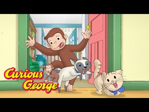 George the cat sitter 🐈 Curious George 🐵 Kids Cartoon 🐵 Kids Movies