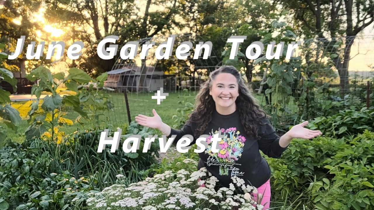 Full June Garden Tour + Harvest | Missouri zone 7a Vegetable and Flower ...