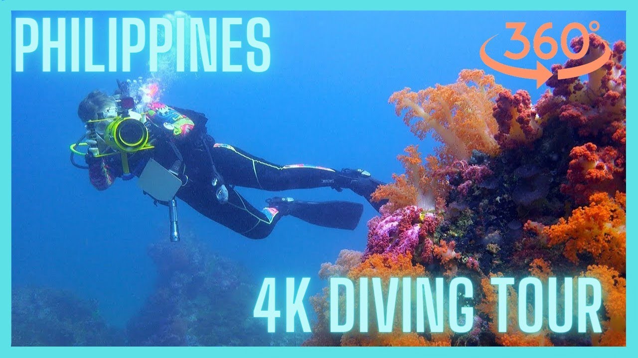 Legendary reefs of the Philippines: 360 degree diving - YouTube