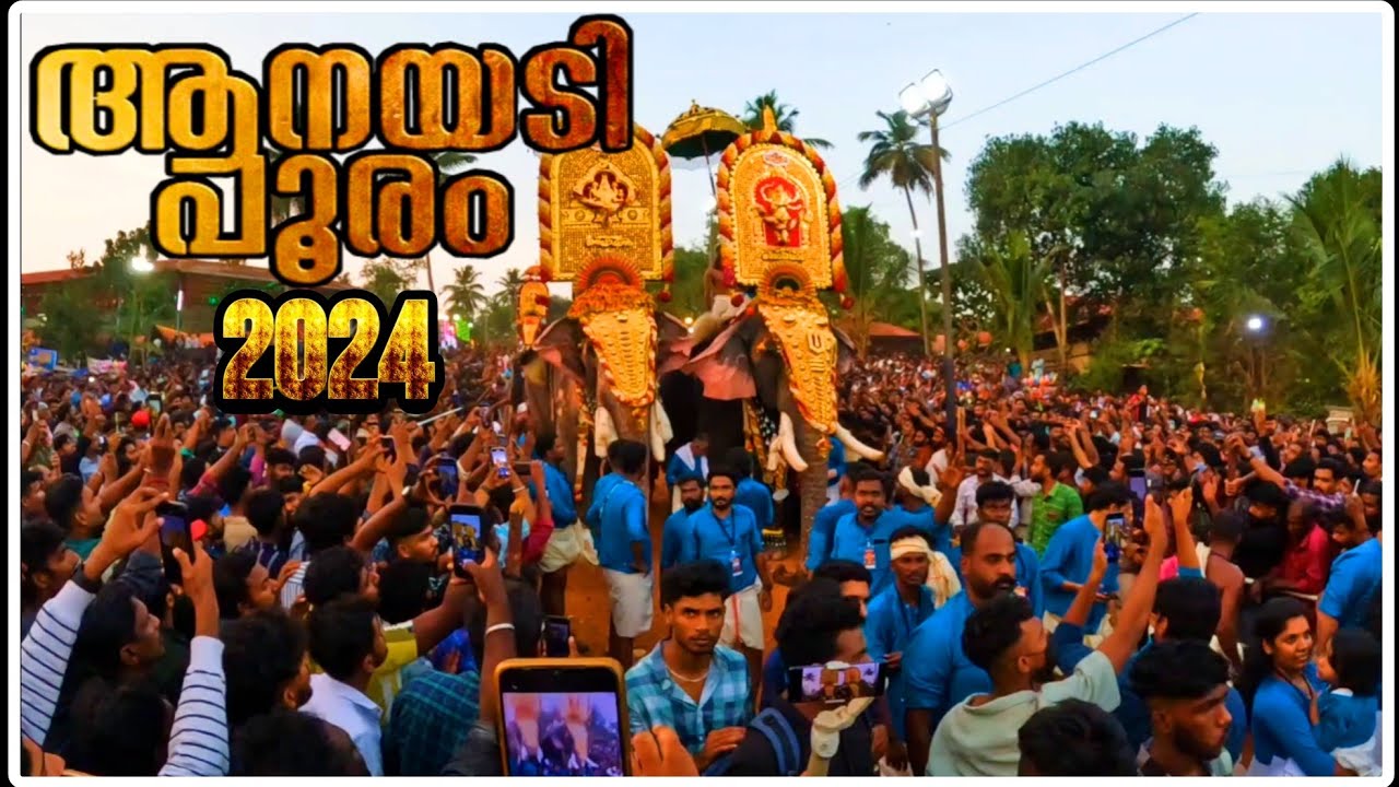 Anayadi Pooram 2024 // നിരനിരയായി ആനകൾ ആർത്തിരമ്പി ജനക്കൂട്ടം - YouTube