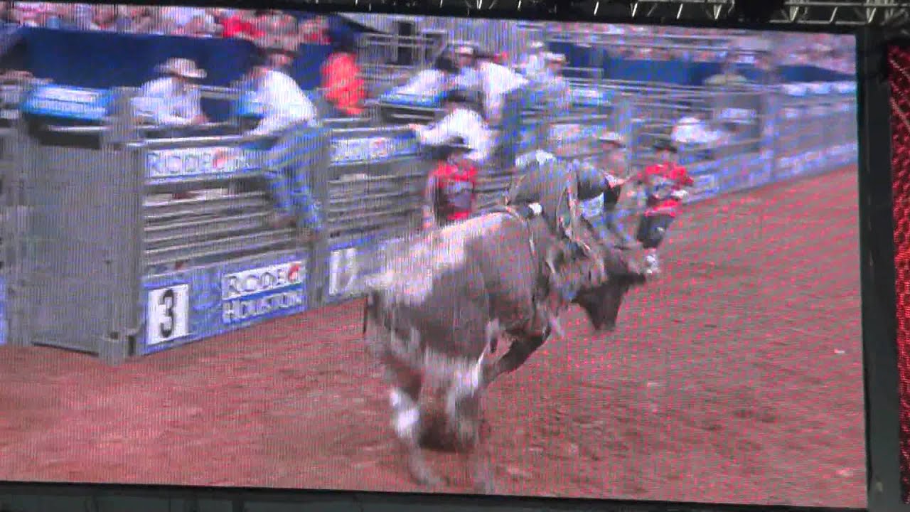 Bull Riding @ The Houston Livestock Show & Rodeo - YouTube