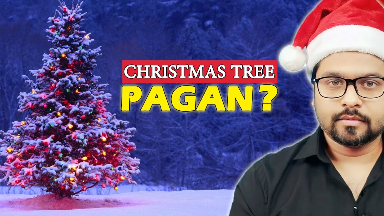 Is Christmas Tree Pagan? 🎄 | Decorating My Christmas Tree | @AsherShafi ...