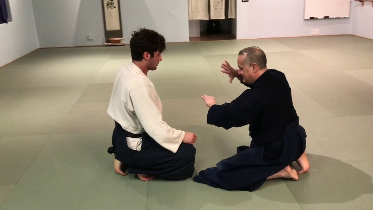 Aikido: Helpful Hints on Te-Sabaki in Irimi Nage - Dori, Tsuki, and ...