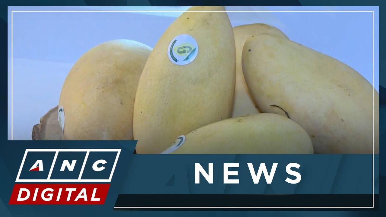 PH's first GI product is Guimaras Mango; 30 other candidates waiting ...