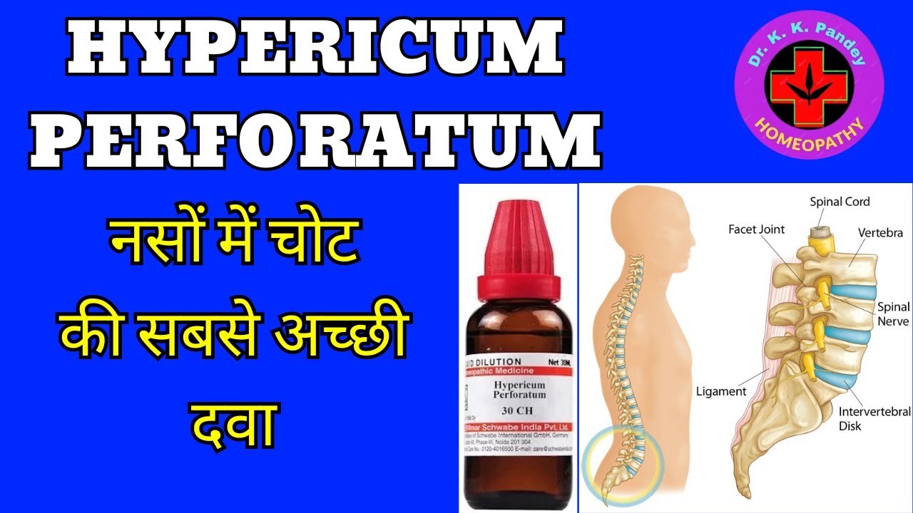 Hypericum Perforatum | Hypericum 30, 200, 1M, Q Homeopathy Uses in ...
