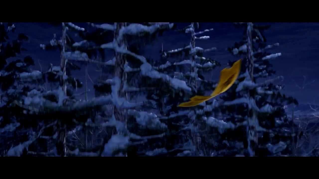 Polar Express Wolves