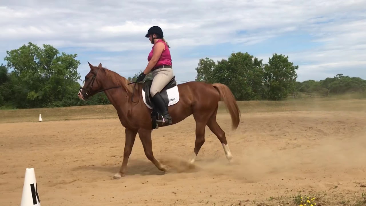 June 26 Dressage Lesson - YouTube