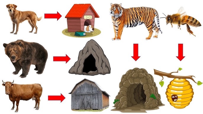 Images Of Animals And Their Homes Spread The Valentine's Day Love To