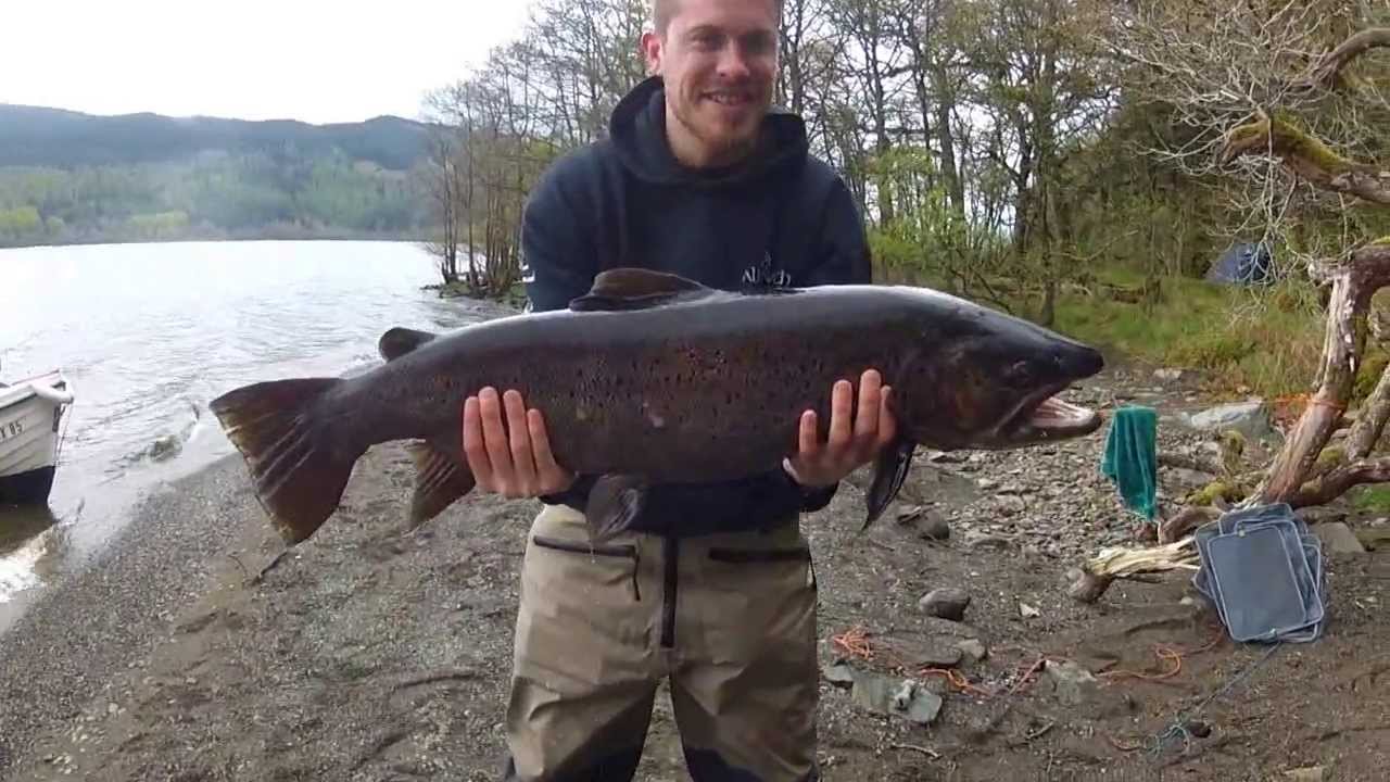 Ferox 85 Group - 21lb ferox trout catch and release - Loch Awe,May 2013 ...