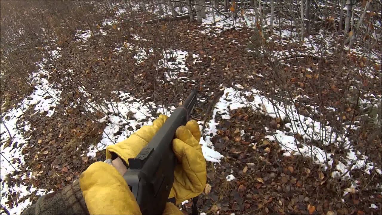 Late Fall Grouse Hunting 2015 - YouTube
