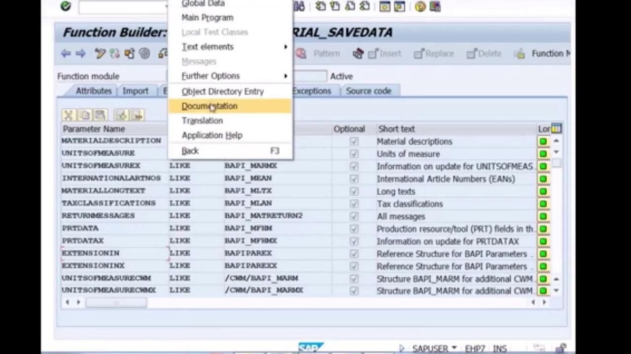 Business Application Programming Interface tutorials Part 6 - YouTube