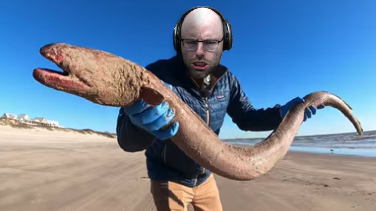 Northernlion hour long sidequest for eels - YouTube