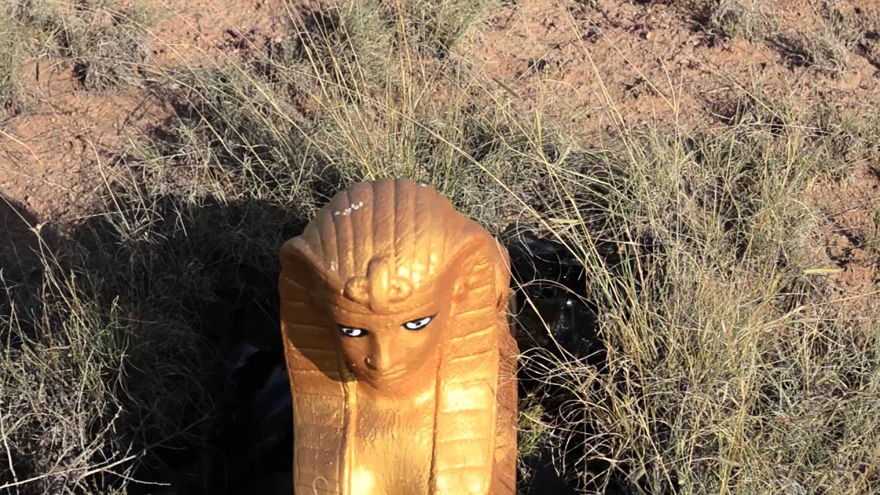 Quest of the Golden Dolphin in the Land of Stardreaming by James Jereb ...