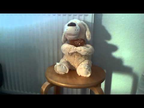 dansende hund part 1 - YouTube