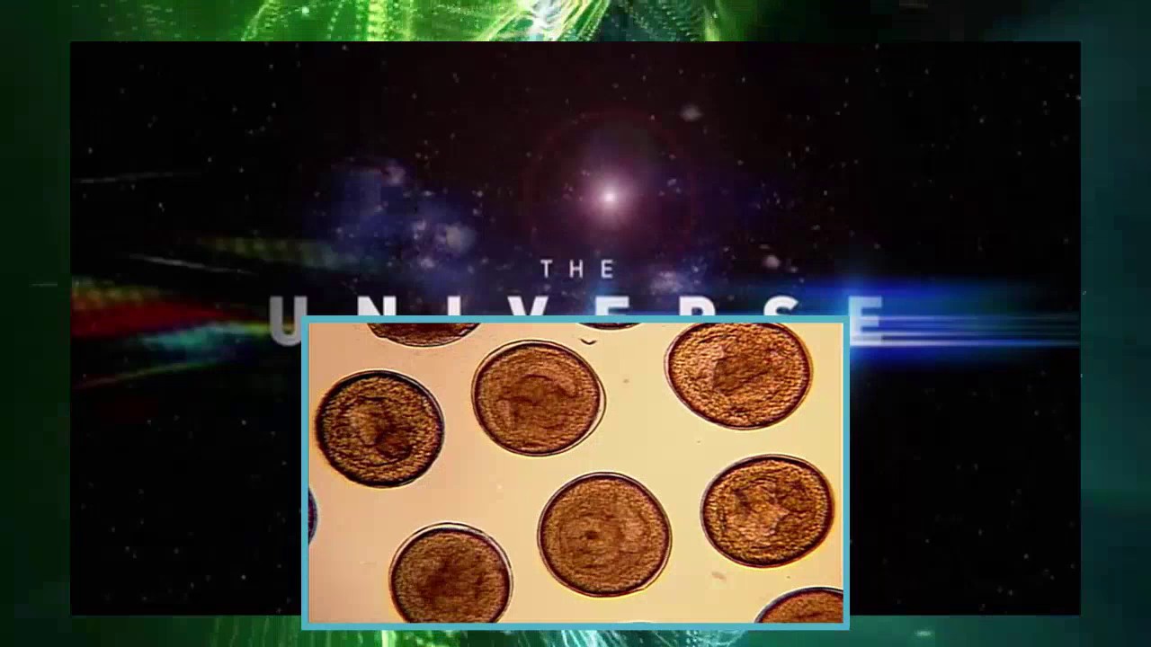 The Universe Season 3 Episode 4 - YouTube