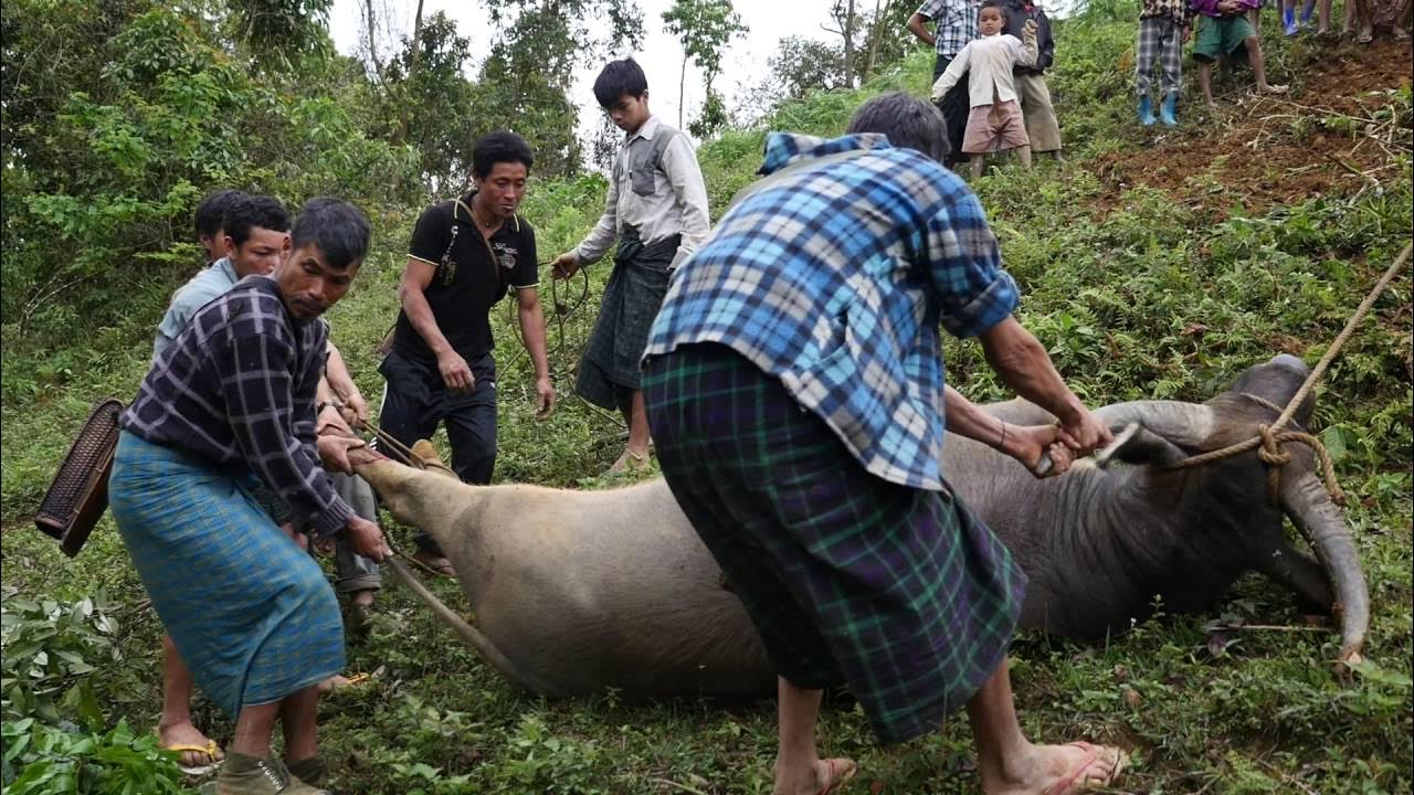 Hkahku Mung, U ma Ginru RIng, Bawmwang Mare, Sasana 10 Ning Hpring Chyeju Shakawn & 22 Lang na ...