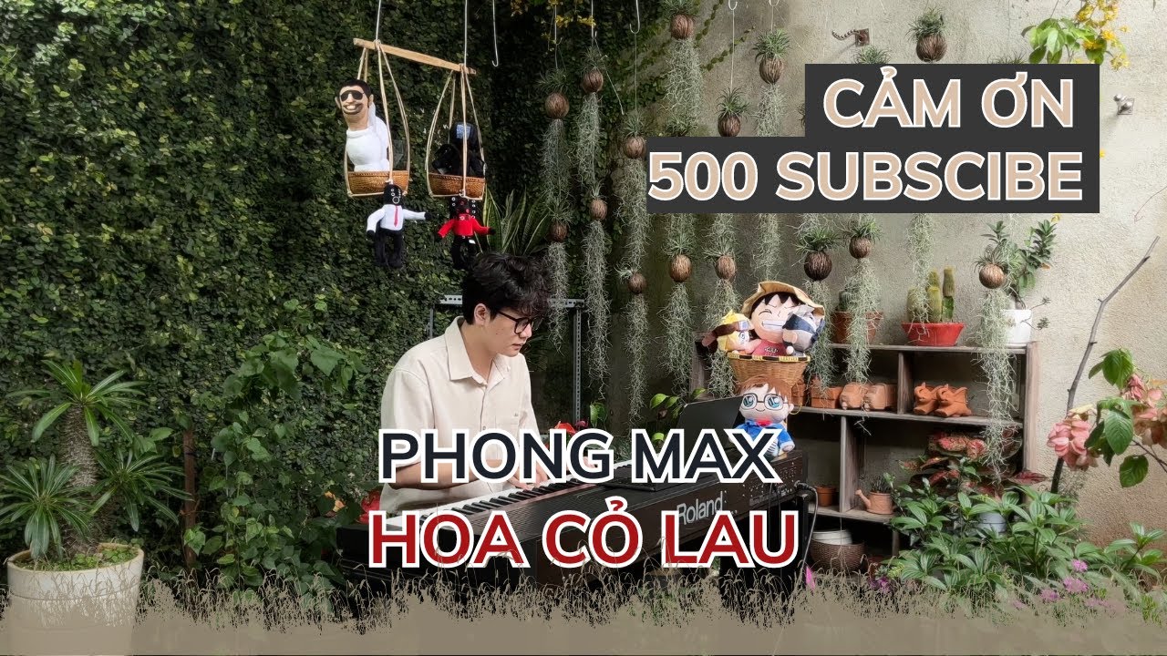 Phong Max - Hoa Cỏ Lau (Piano) Nhìn bông lau nghiêng giống như lòng ...