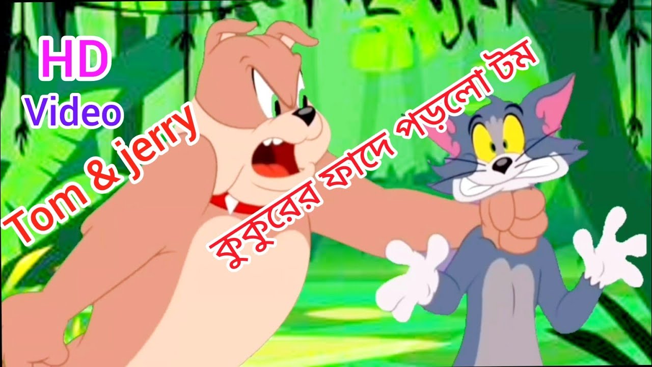 HD New Tom and Jerry। Tom and Jerry Bangla। Cartoon। টম এন্ড জেরি ...